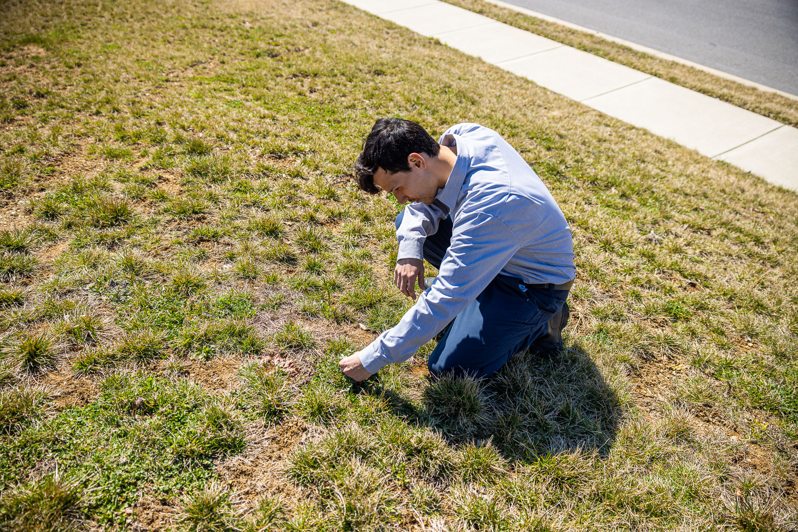 How To Identify And Treat Leaf Spot Disease In Your Lawn
